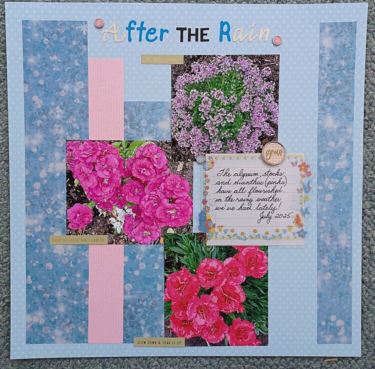 After the Rain - Project Idea - Scrapbook.com