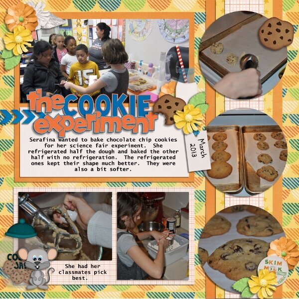 The Cookie Experiment - Project Idea - Scrapbook.com