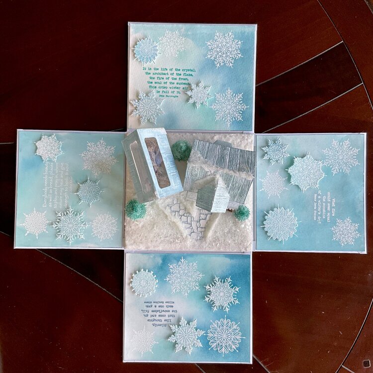 Winter Explosion Box for Robbie - Project Idea - Scrapbook.com