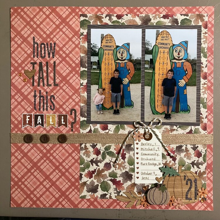 How TALL this fall? - Project Idea - Scrapbook.com