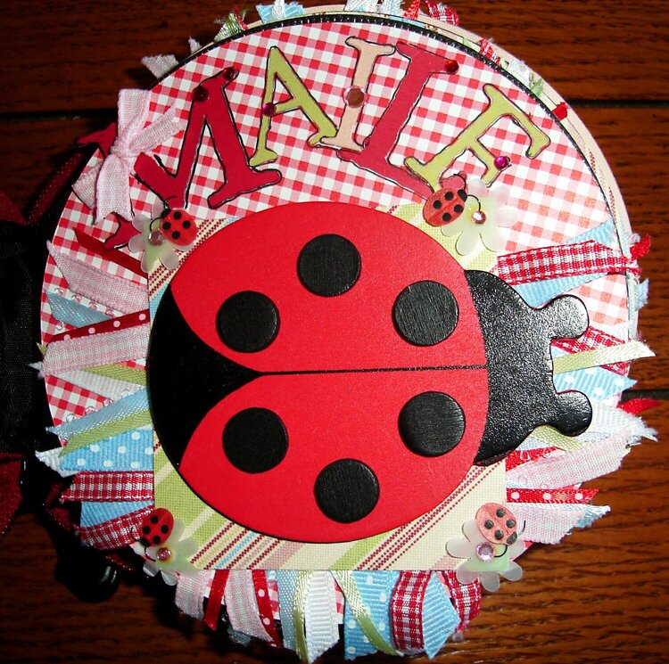 Ladybug Book - Project Idea - Scrapbook.com