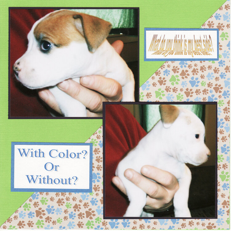 Two Face - Project Idea - Scrapbook.com