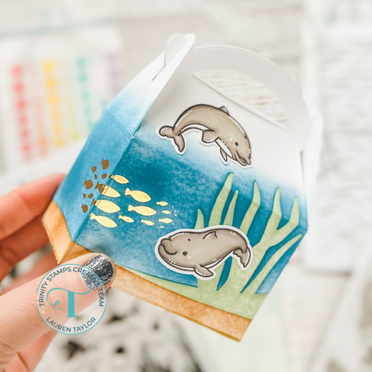 Dolphin Birthday Treat Box - Project Idea - Scrapbook.com