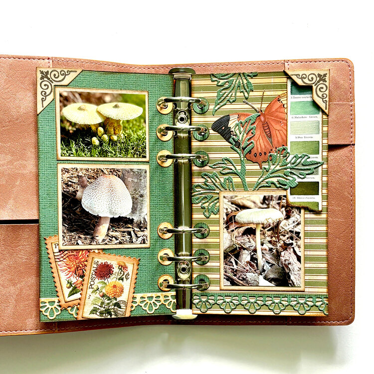 Scrapbooking Project Ideas - Scrapbook.com