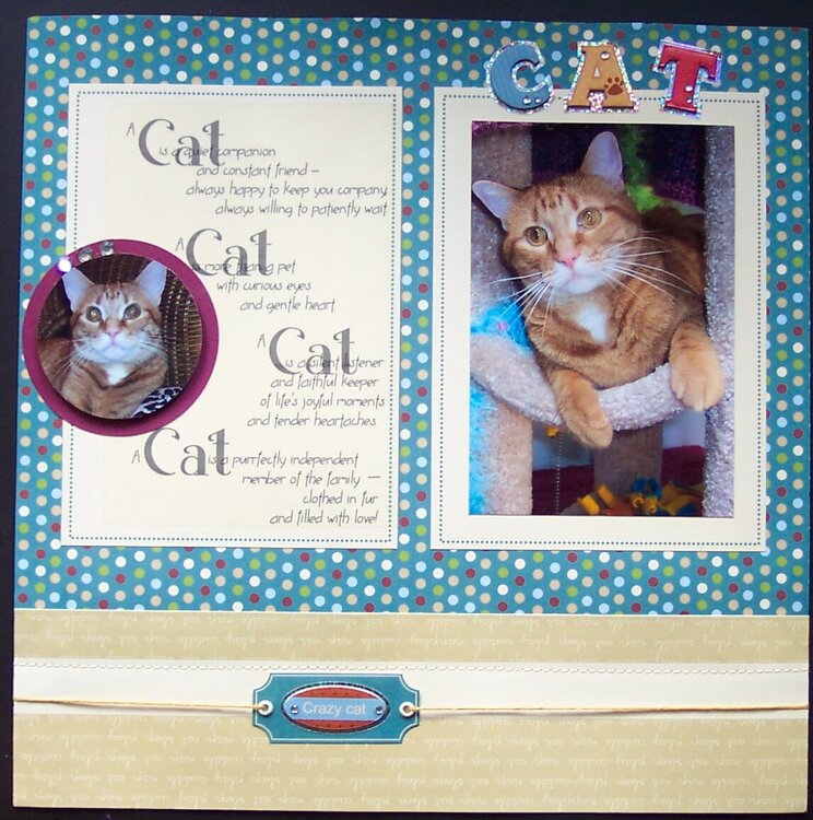 Cat - Project Idea - Scrapbook.com