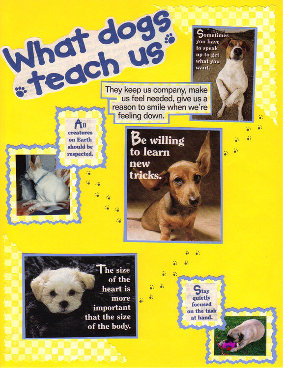 What Dogs Teach Us - Project Idea - Scrapbook.com