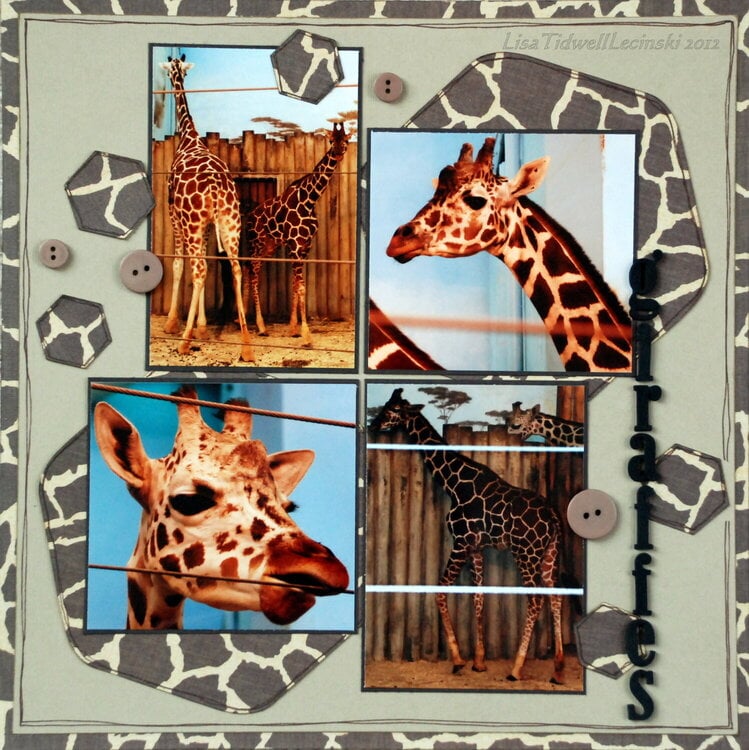 giraffes - Project Idea - Scrapbook.com