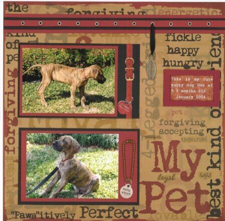 My Pet - Project Idea - Scrapbook.com
