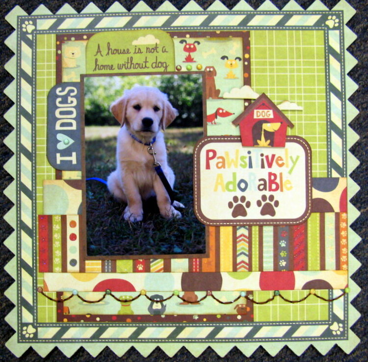 pawsitively adorable - Project Idea - Scrapbook.com
