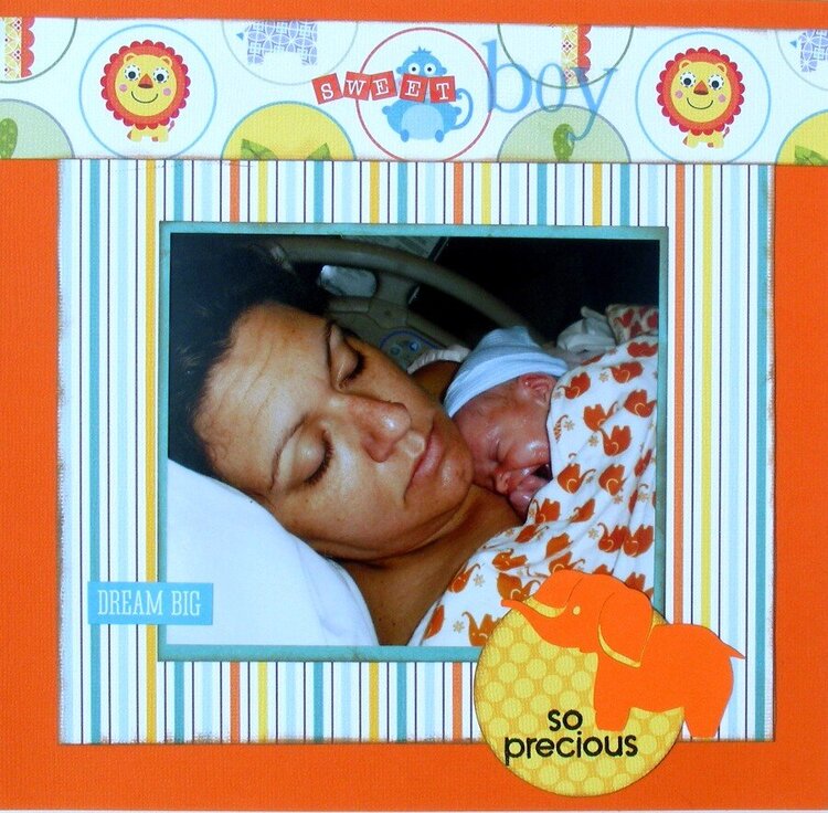 so precious - Project Idea | Scrapbook.com