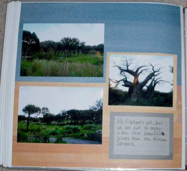 African Savanna - Project Idea - Scrapbook.com