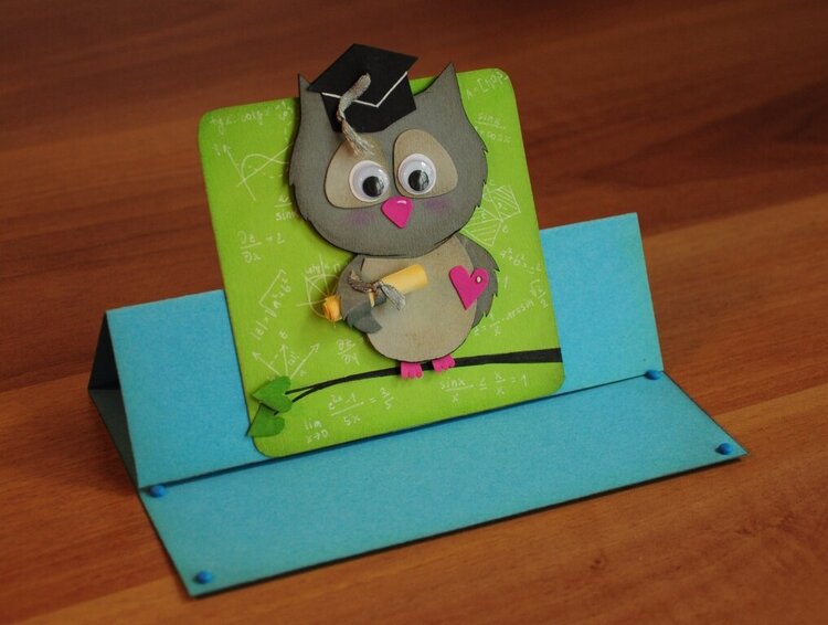 graduated owl - Project Idea - Scrapbook.com