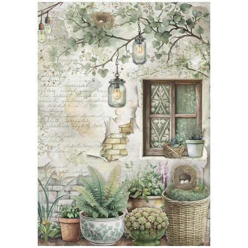 Stamperia Herbarium Silvae Collection A4 Rice Paper Window
